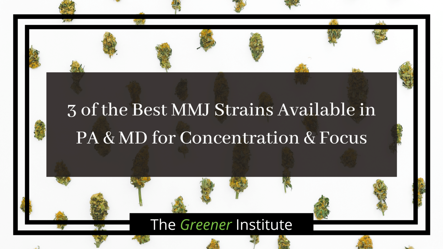 3 MMJ Strains Available in PA & MD for Concentration & Focus | The ...