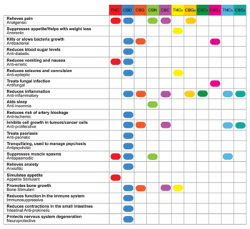 Cannabinoids 101 | The Greener Institute